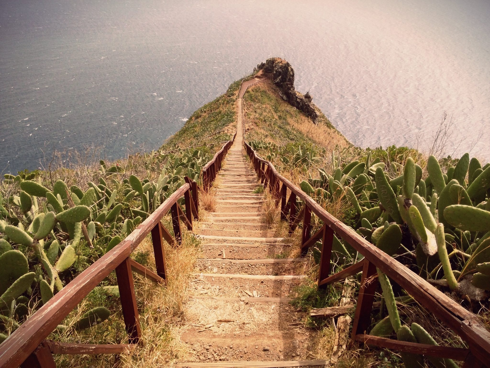 9 reasons to visit Madeira during the Fall / Winter