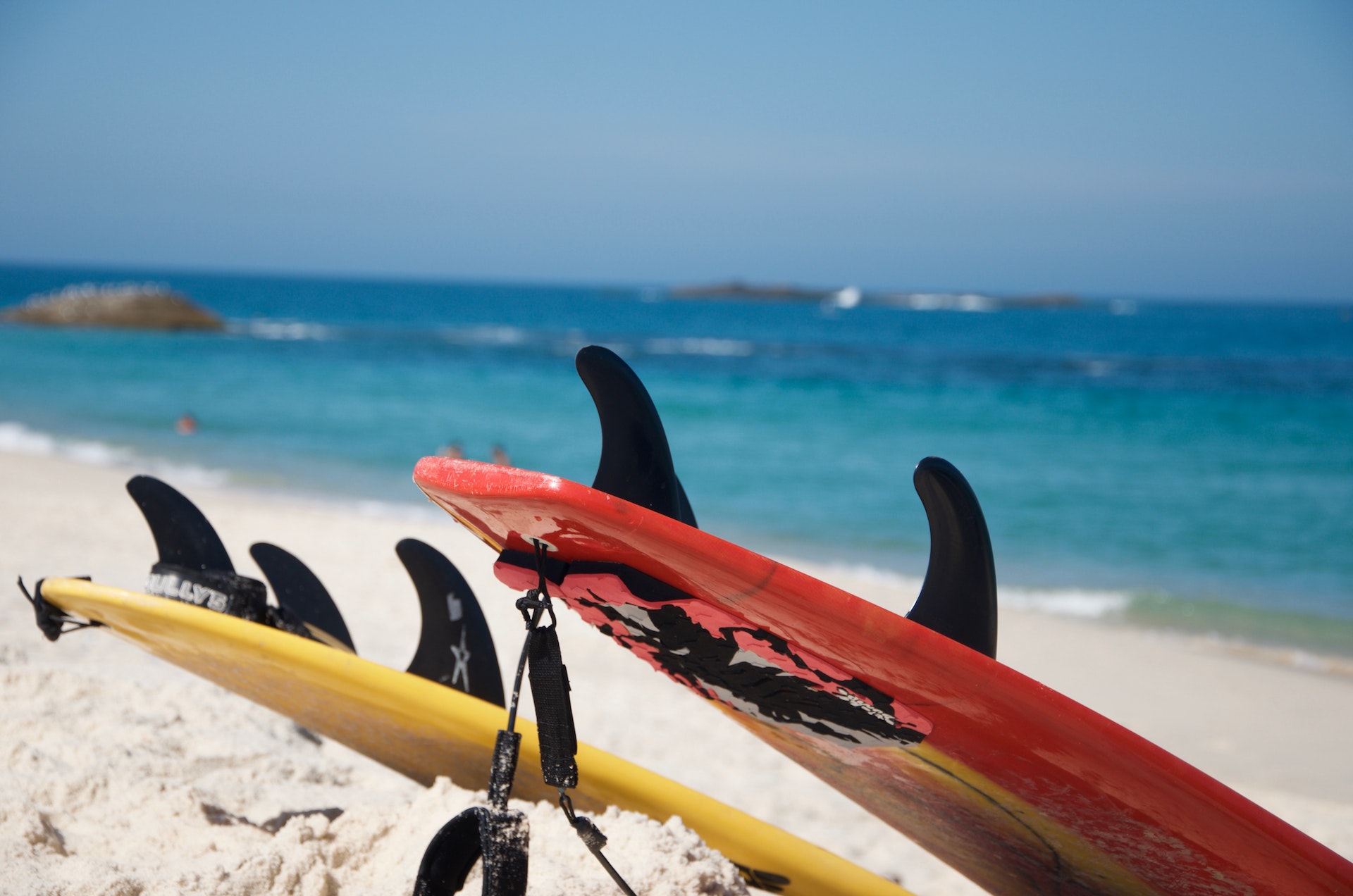 Ride the Wave: A Beginner's Guide to Surfing Gear Essentials