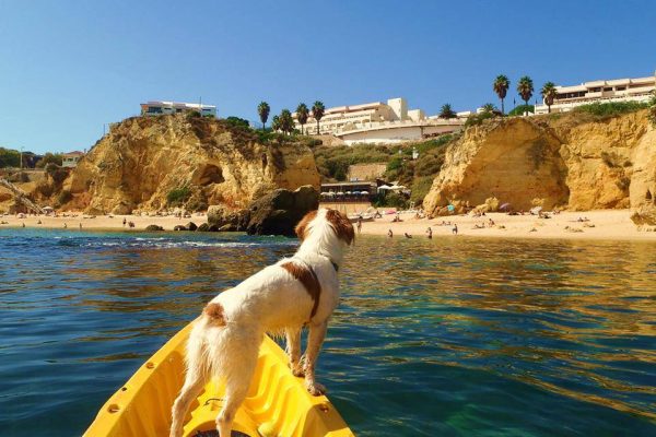 Kayak tour from Lagos