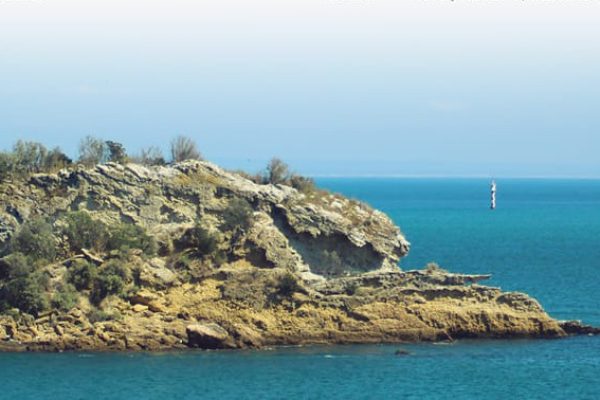 Setúbal dolphin watching