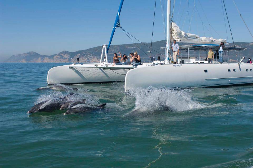 Things to do in Setúbal